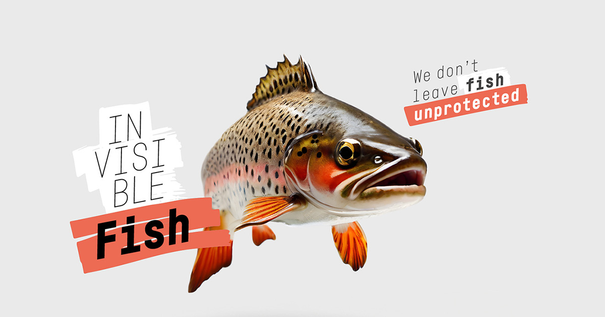 Fishing for Solutions: Let’s Net a Better Future in Aquaculture