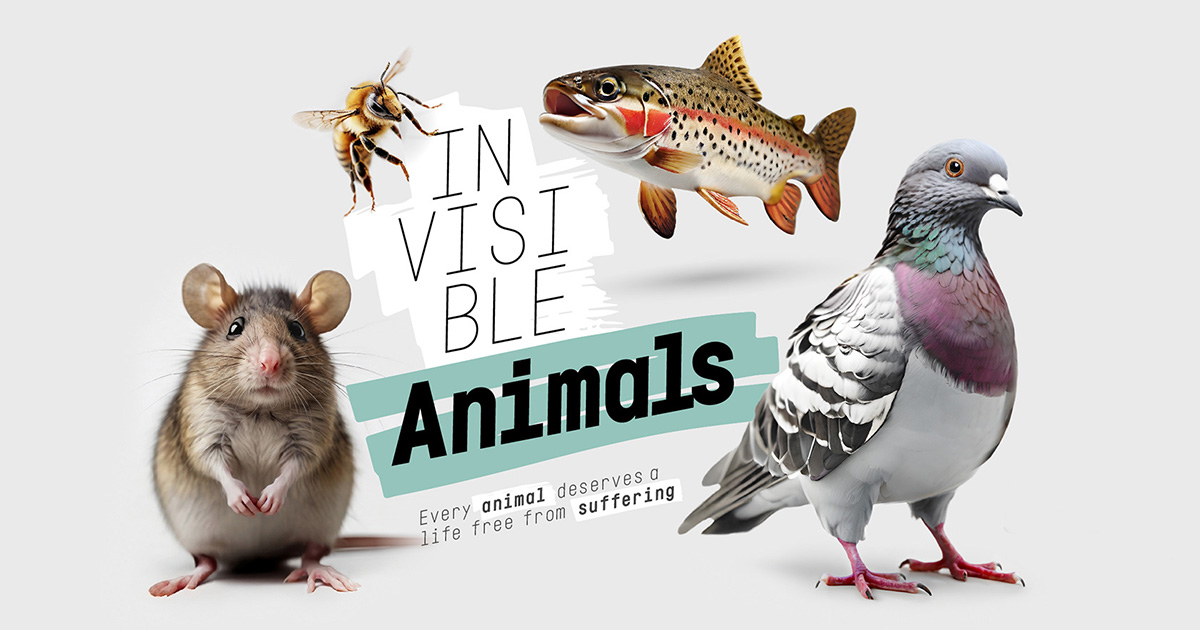 Let’s give Invisible Animals a Voice!
