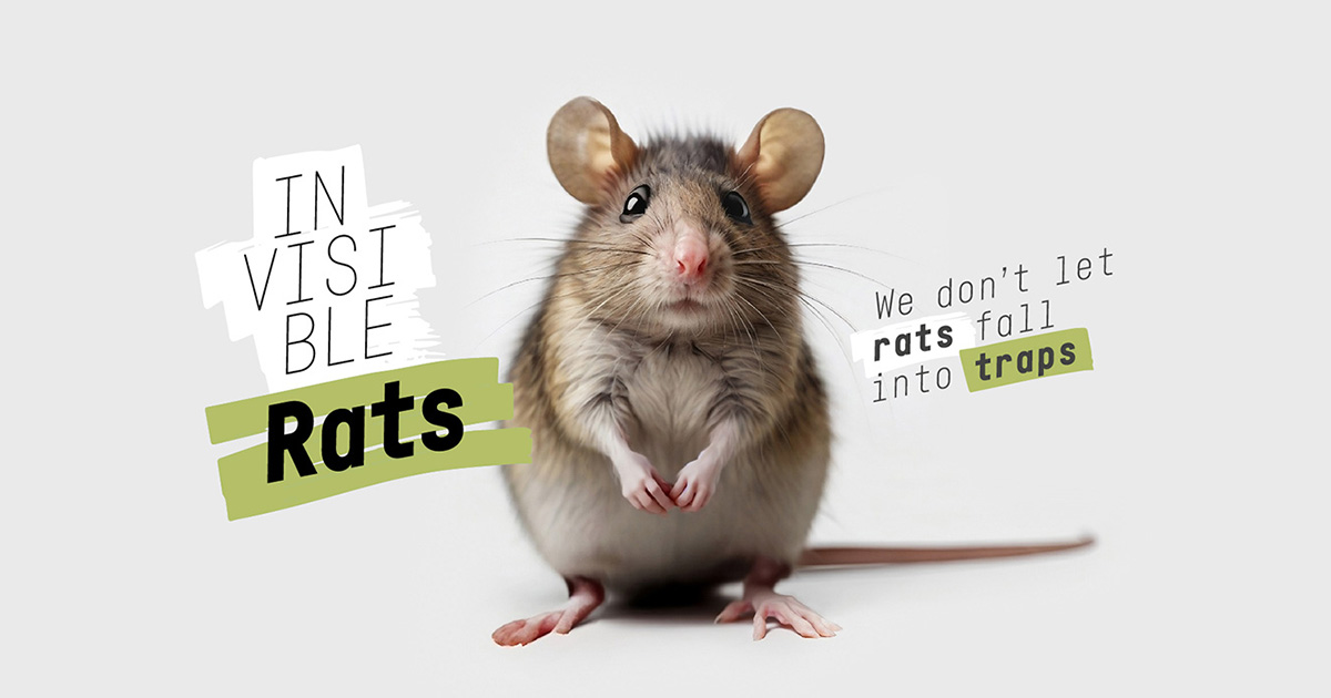Rat Out Rodenticides and Save Urban Wildlife
