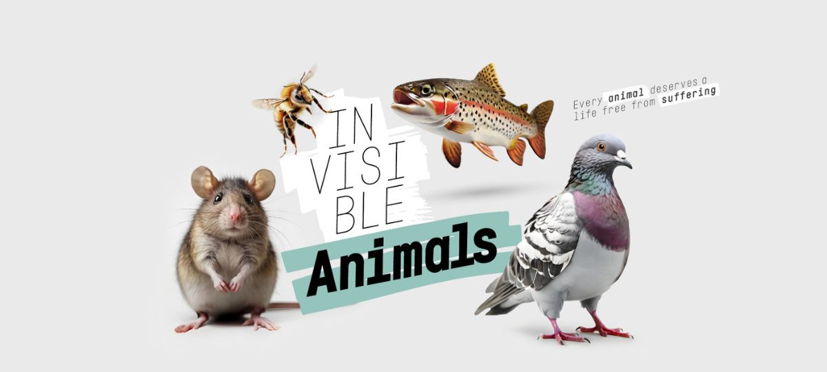 The “invisible” animals need your help | Sentience